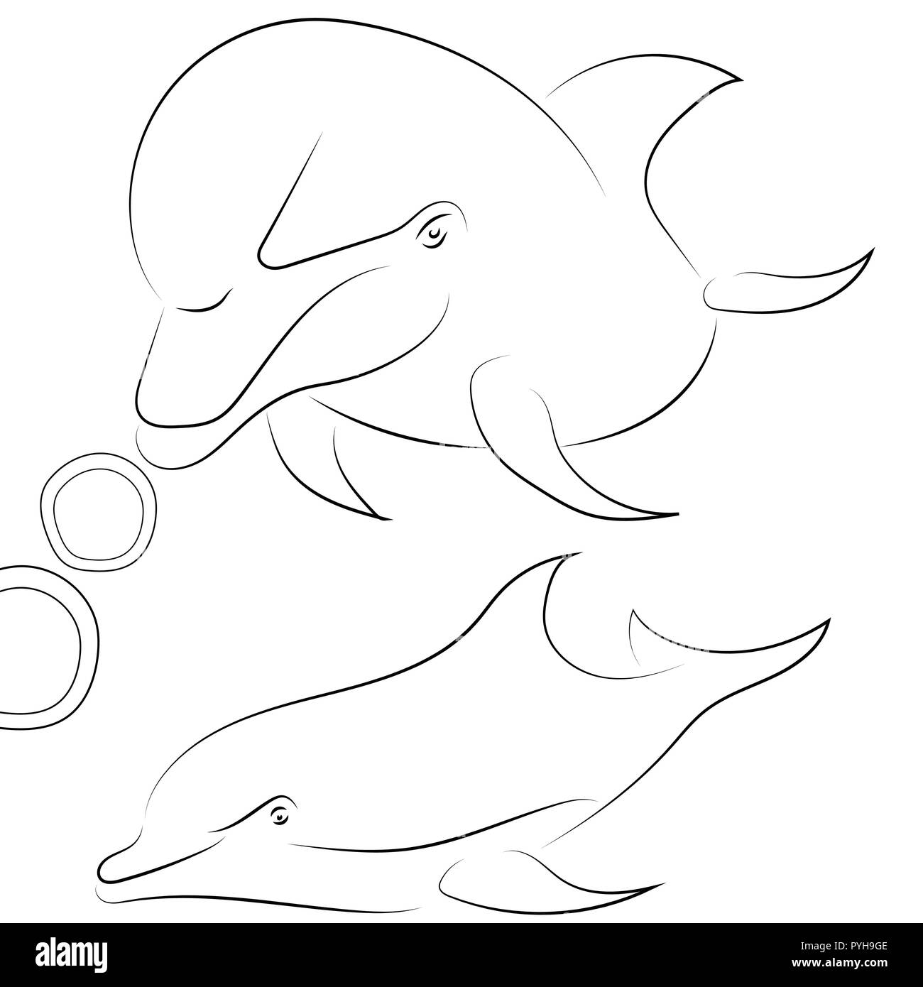 Dolphin Underwater Black and White Stock Photos & Images - Alamy