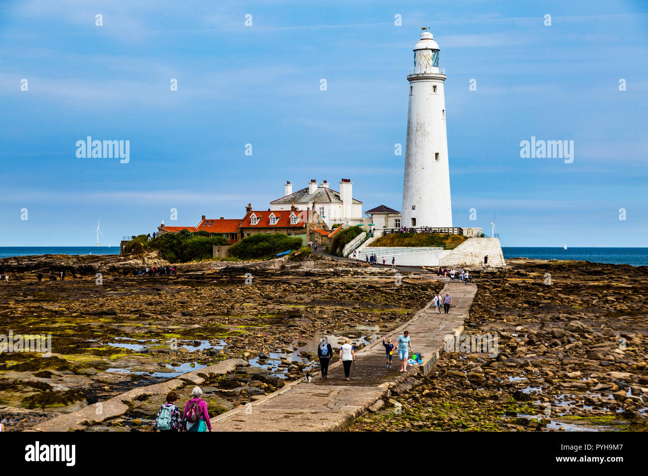 St Marys Lighthouse Stock Photo - Alamy