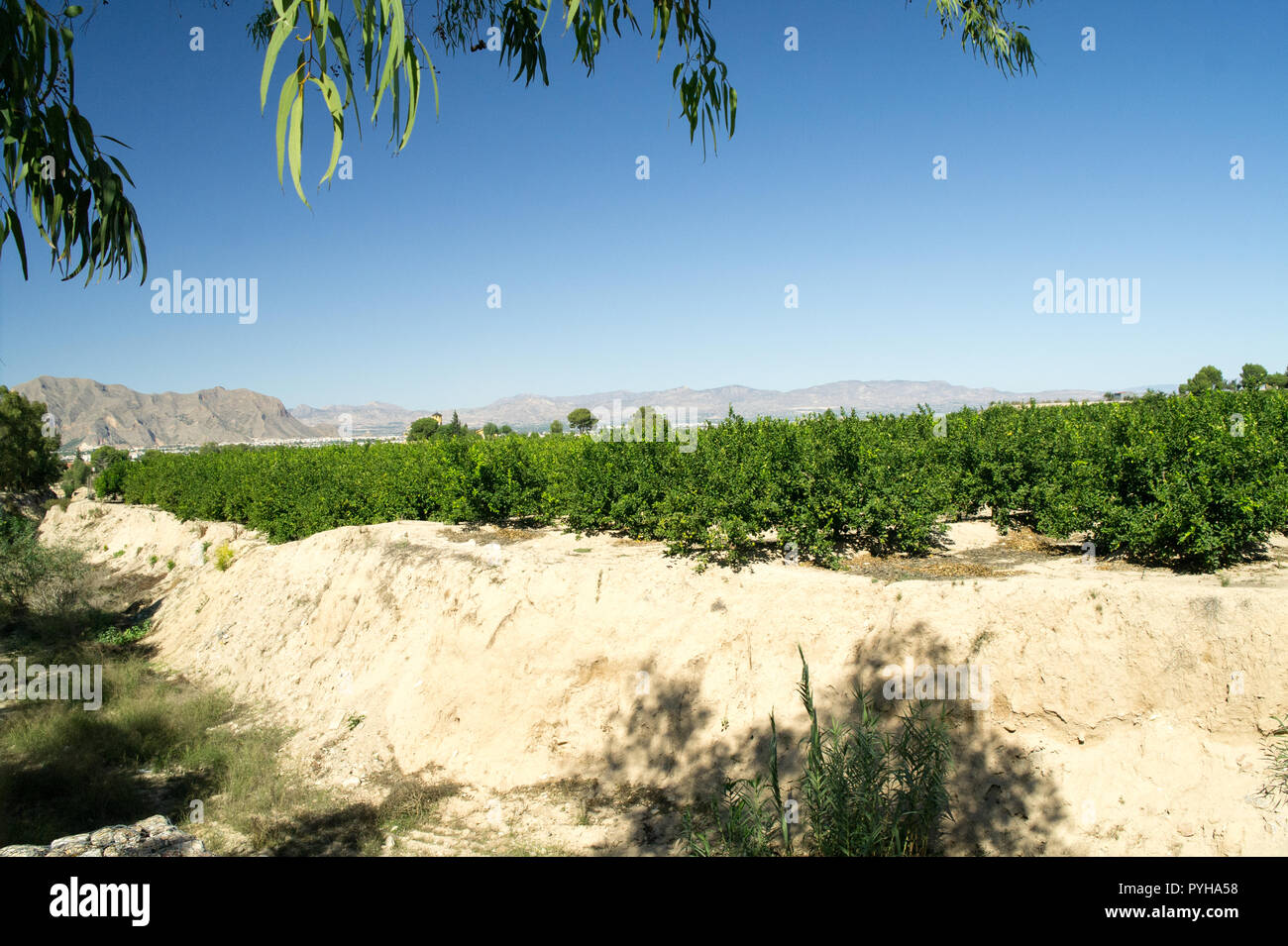Spanish Lanscape with Mountains Stock Photo - Alamy