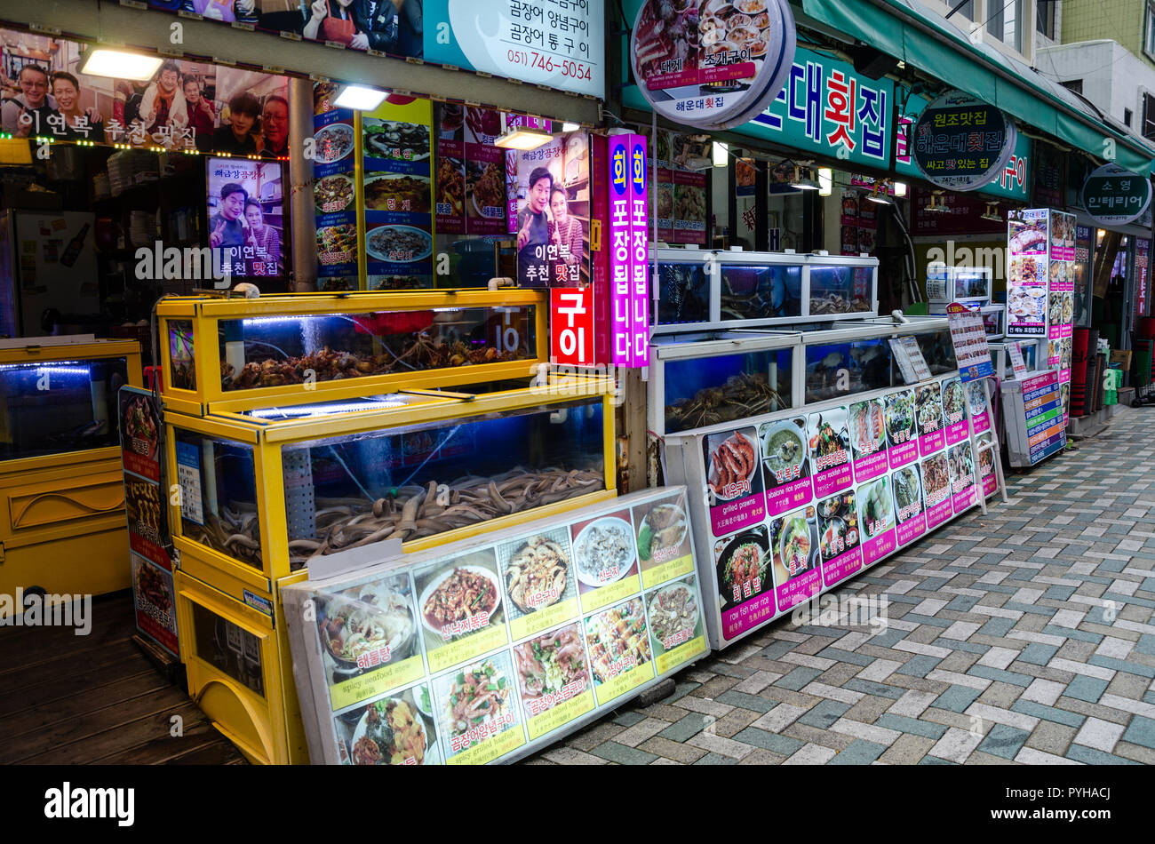 Living seafood in tanks hi-res stock photography and images - Alamy
