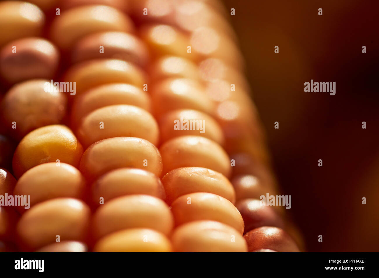 Indian ear hi-res stock photography and images - Alamy