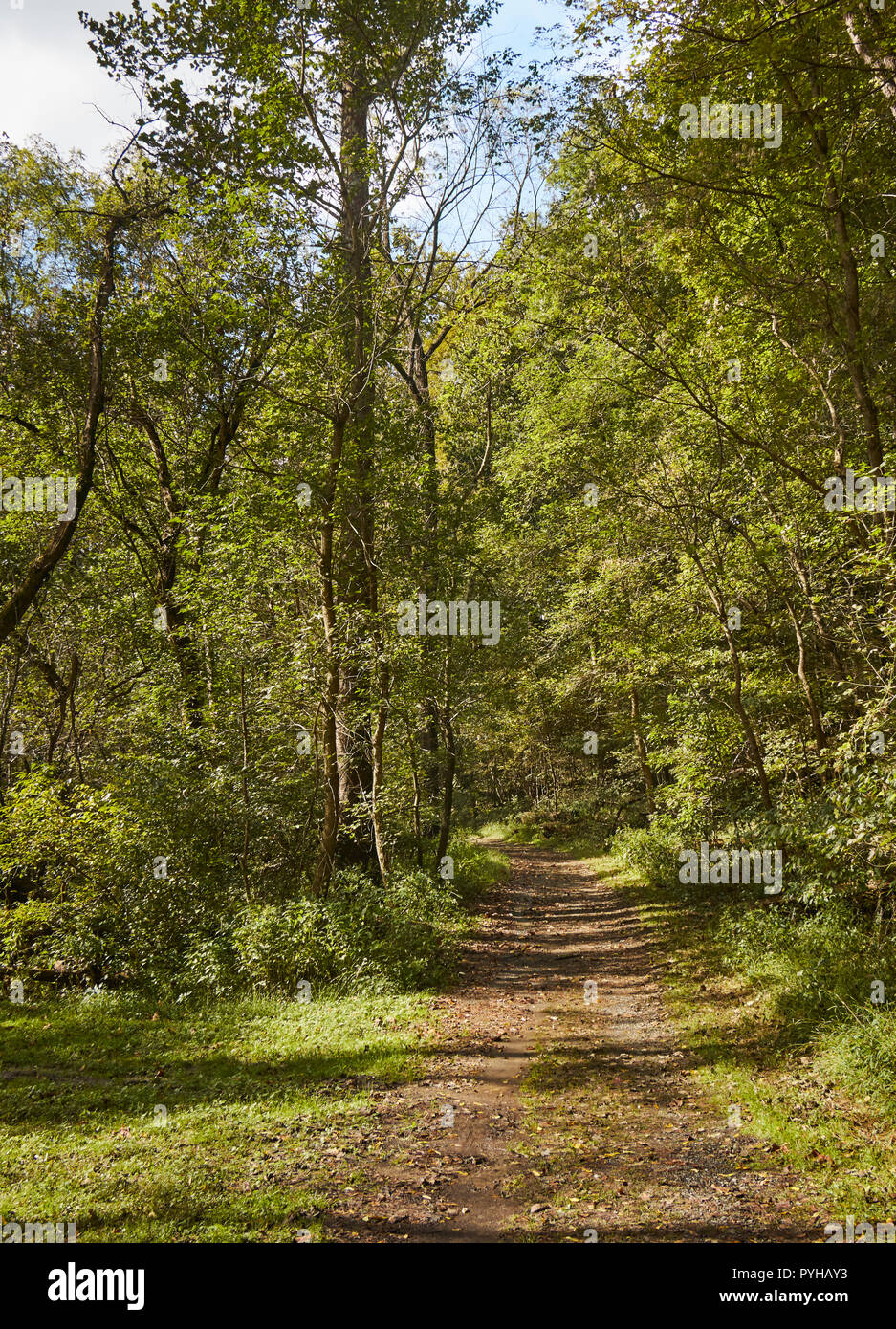 The Conestoga Trail, a dirt path, in Lancaster Central Park, Amish ...