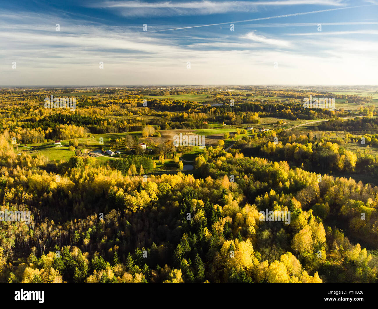 Aerial view of autumn forest with green and yellow trees. Mixed ...