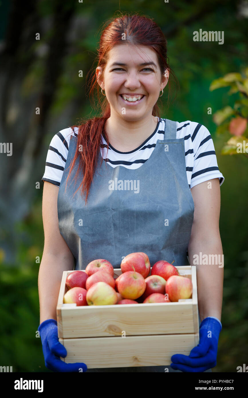 Happy gardener fruit hi-res stock photography and images - Alamy