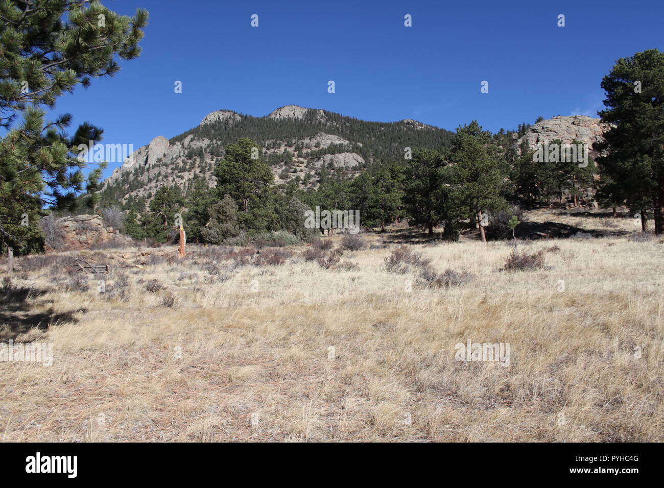 An eye raising view Stock Photo - Alamy