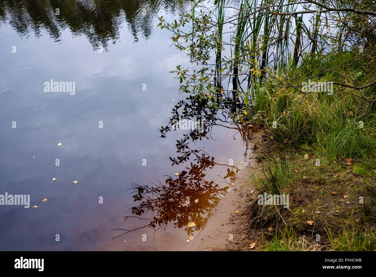 nature reflections in clear water in lake or river at countryside ...