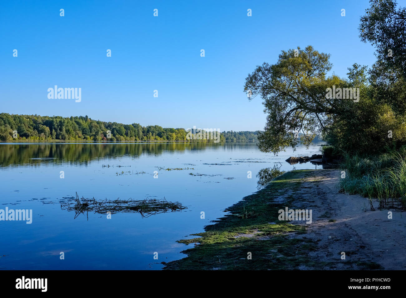 nature reflections in clear water in lake or river at countryside ...