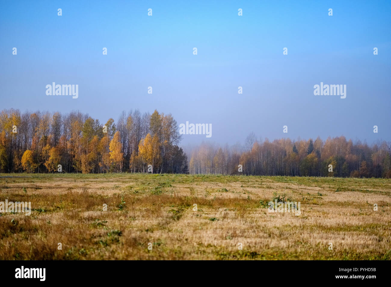 empty field in late autumn in brown fall colors Stock Photo - Alamy