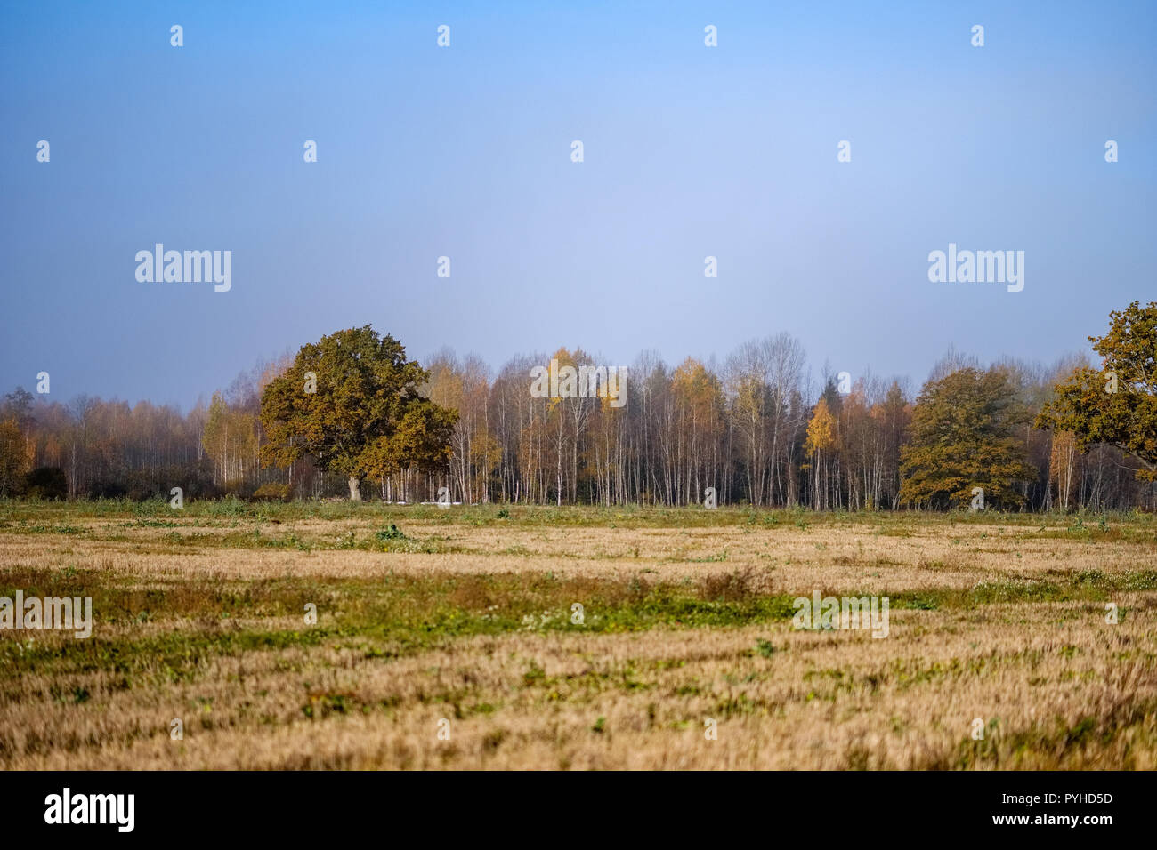 empty field in late autumn in brown fall colors Stock Photo - Alamy