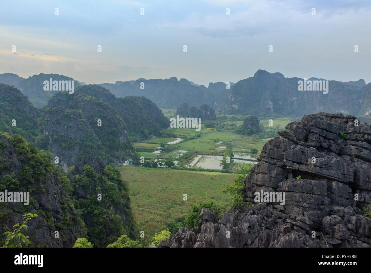 rice fields with the karst mountains in ninh binh, vietnam Stock Photo ...