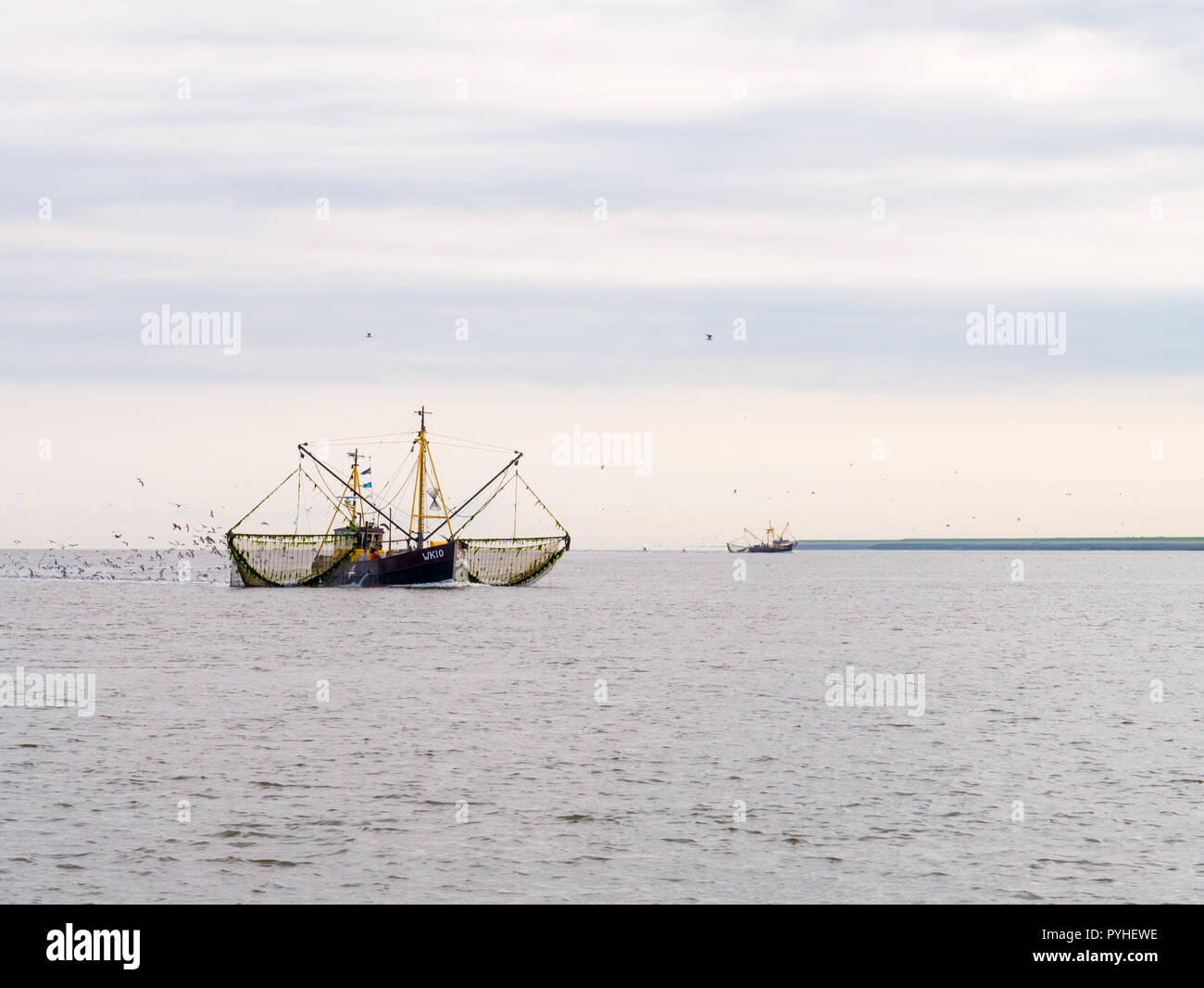 Shrimp trawlers fishing on the Wadden Sea, Netherlands Stock Photo - Alamy