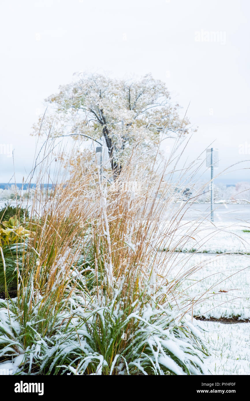 First snowfall hi-res stock photography and images - Alamy