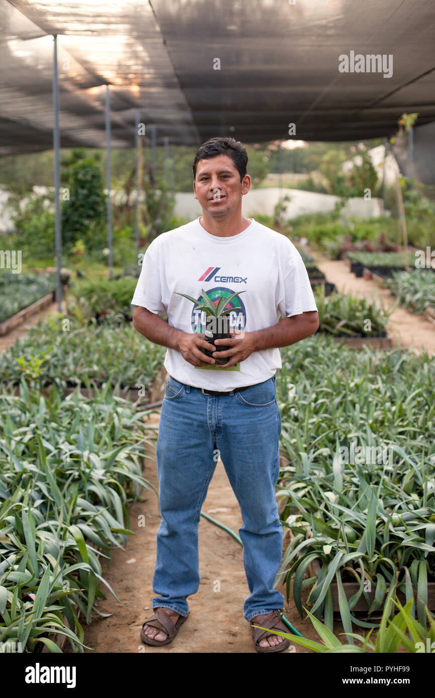 Mezcal producer Eduardo Angeles, owner of Lalocura Mezcal, poses for a ...