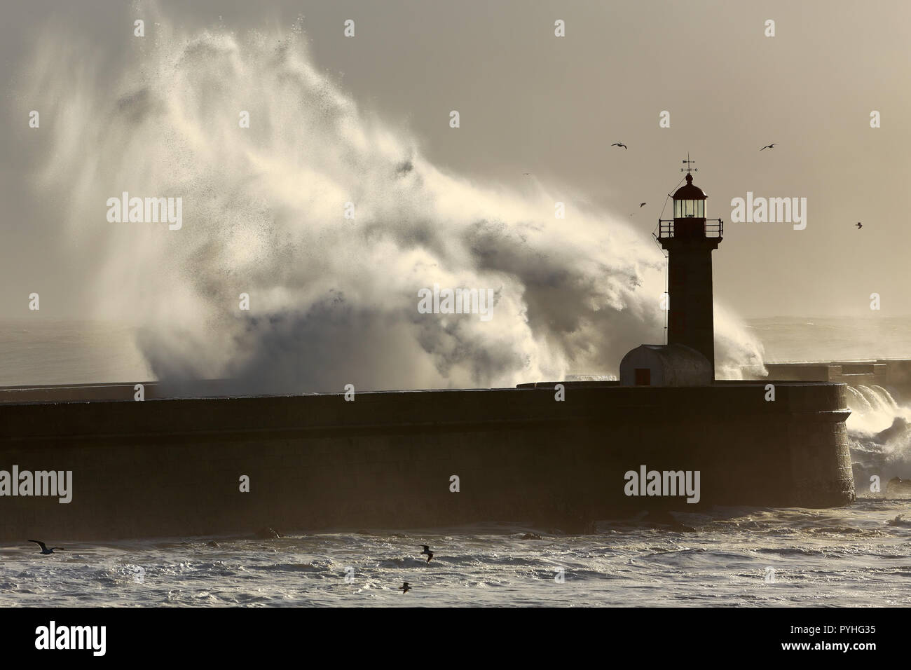 Big wave tsunami over hi-res stock photography and images - Alamy