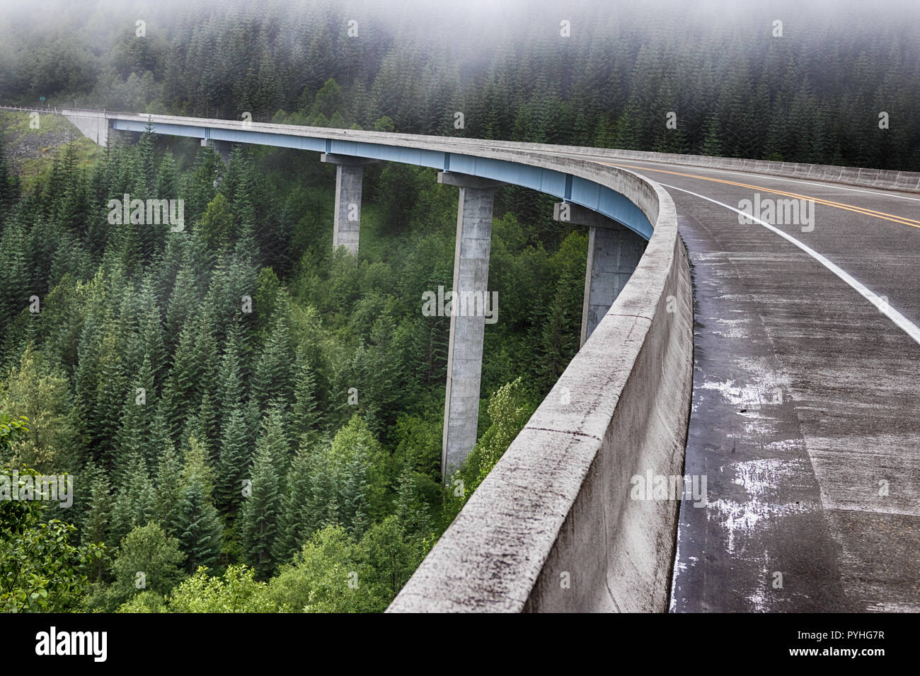Concrete forest bridge freeway road with fog Stock Photo - Alamy