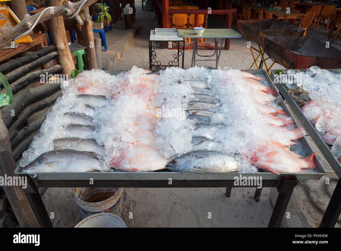 Fresh fish display at restaurant, Ko Lipe, Thailand Stock Photo - Alamy