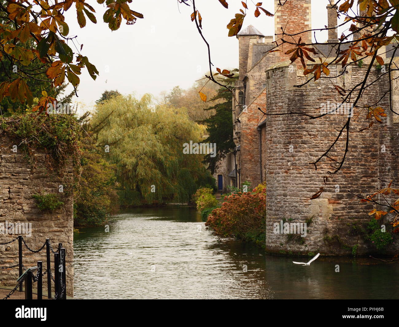 Autumn at wells autumn at wells hi-res stock photography and images - Alamy