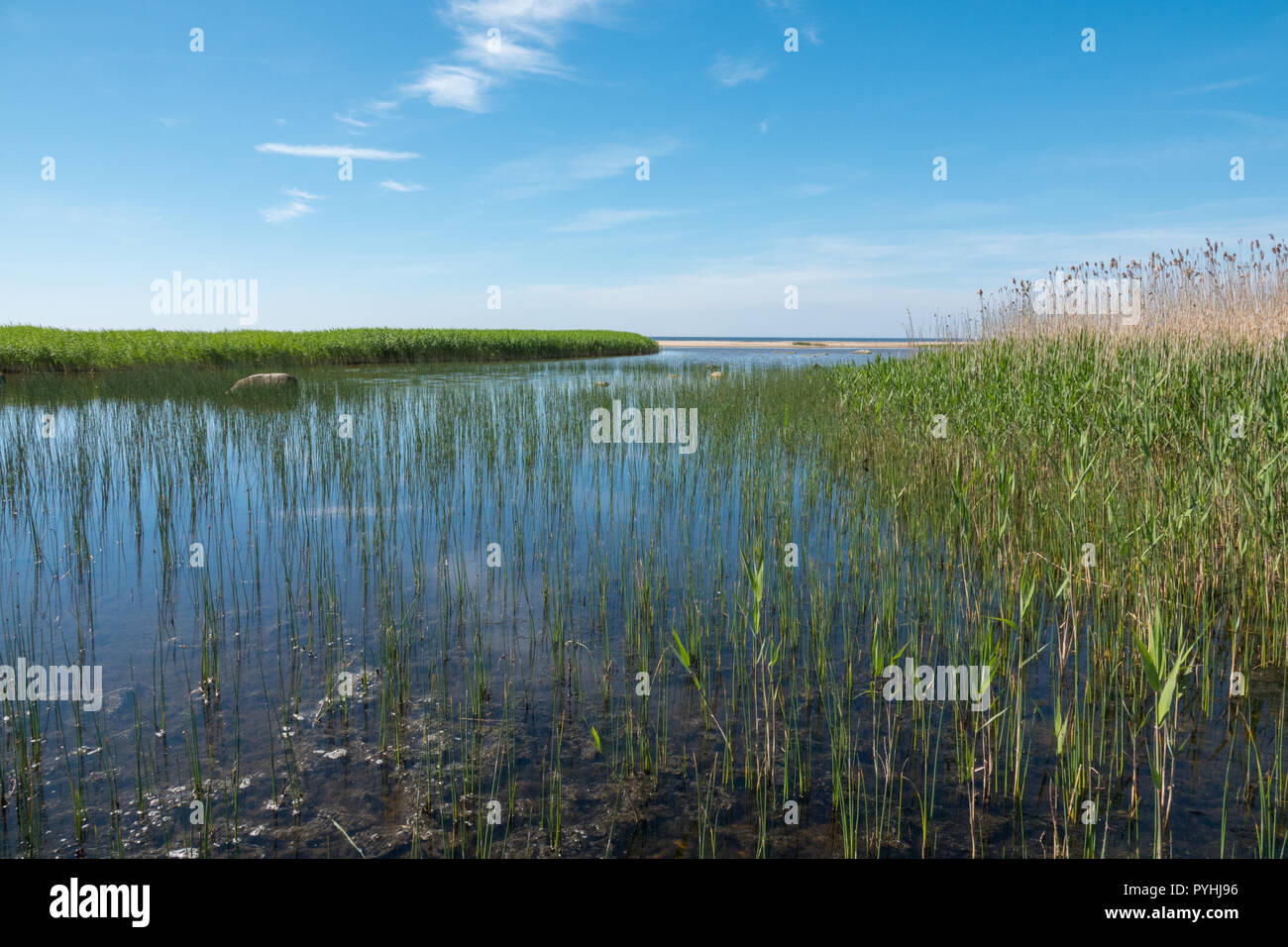 Shore shallow hi-res stock photography and images - Alamy
