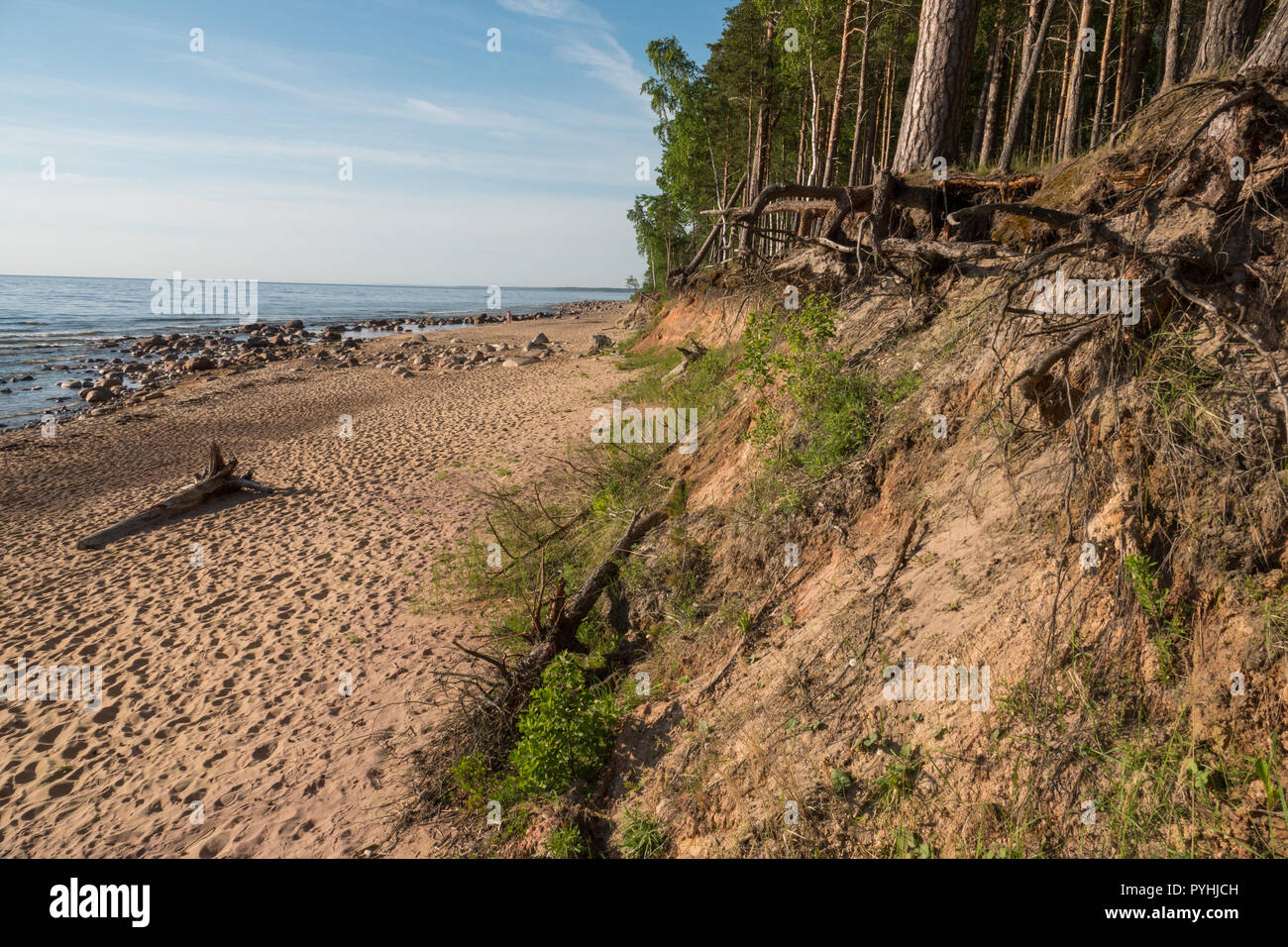 Forest hill horizon trees hi-res stock photography and images - Alamy