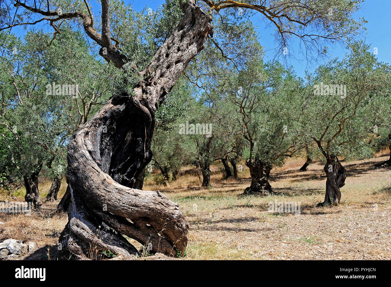 Moria village hi-res stock photography and images - Alamy