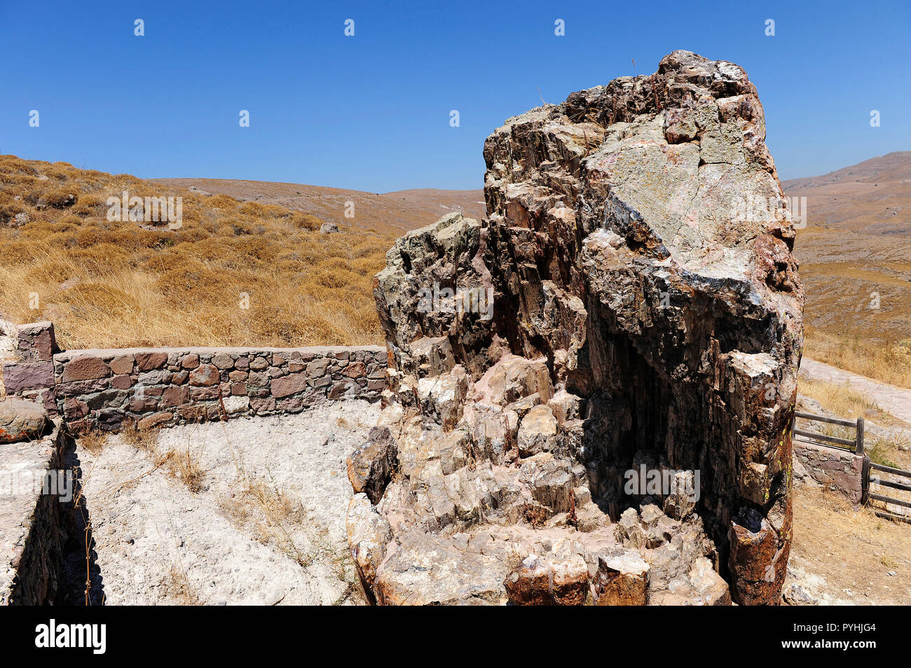 Petrified forest lesbos hi-res stock photography and images - Alamy