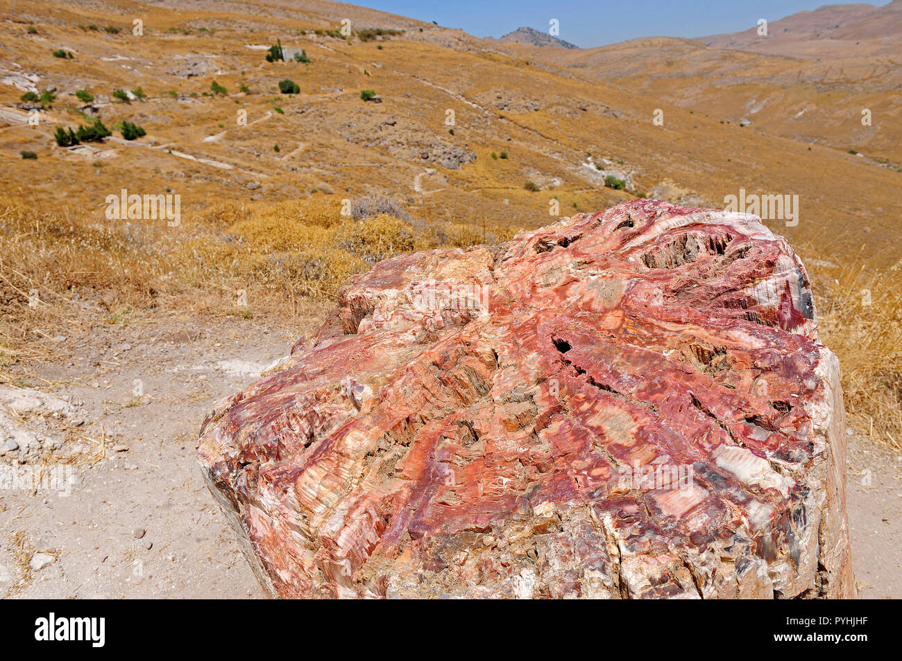Greece, Lesbos petrified forest in the west of the island Stock Photo ...