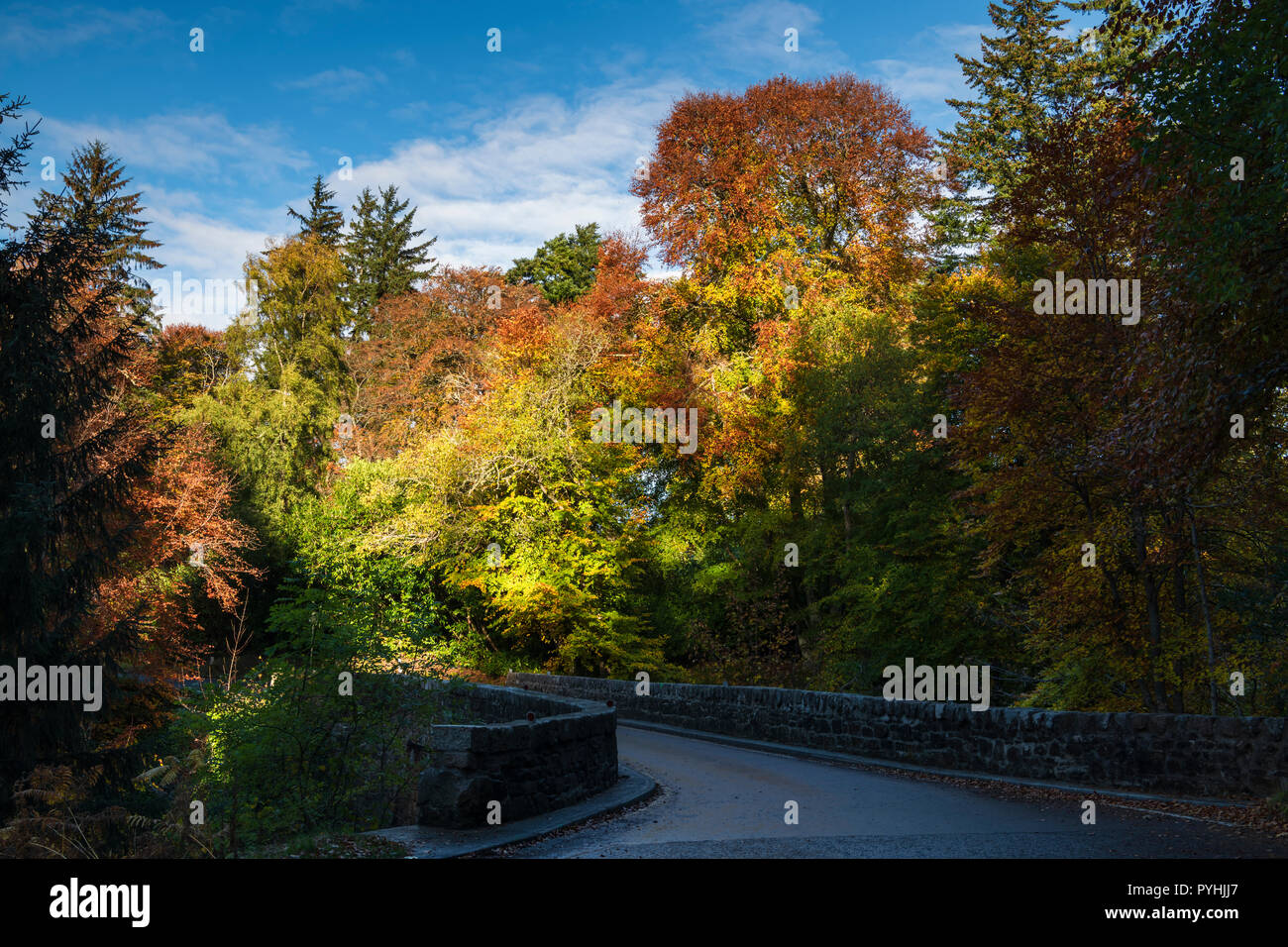 The Bridge of Logie in fine autumn colours over the River Divie in ...