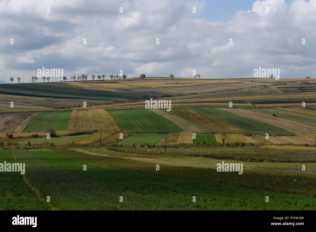Agricultural land corn crops hi-res stock photography and images - Alamy