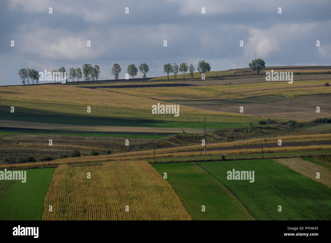 Agricultural landscape from Romania Stock Photo - Alamy