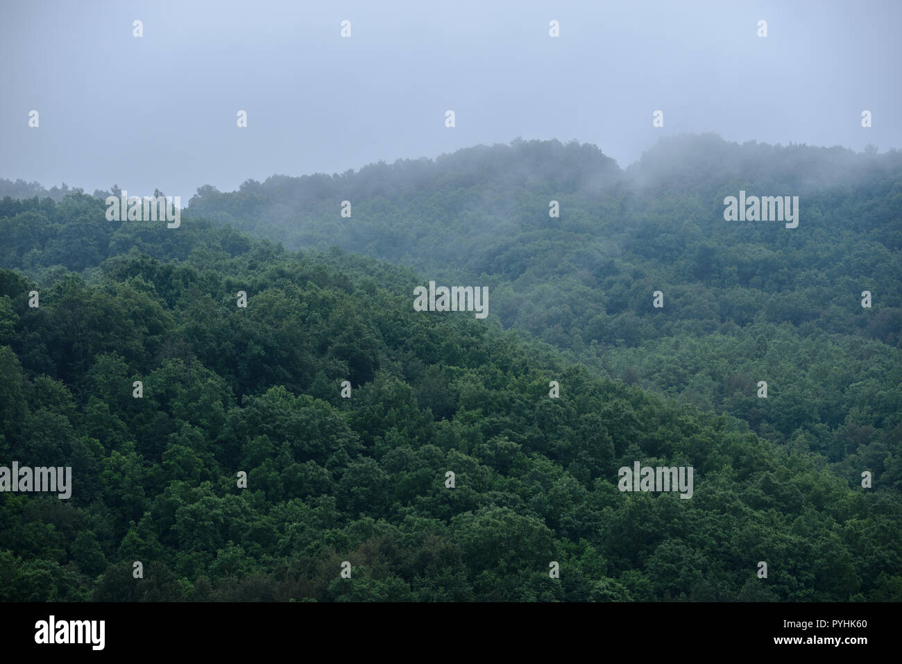 Bulgarian landscape from Strandzha mountain region Stock Photo - Alamy