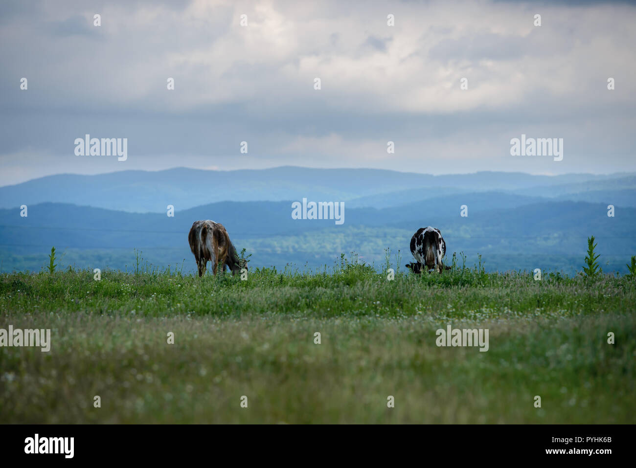 Bulgarian landescape from Strandzha mountain region Stock Photo - Alamy