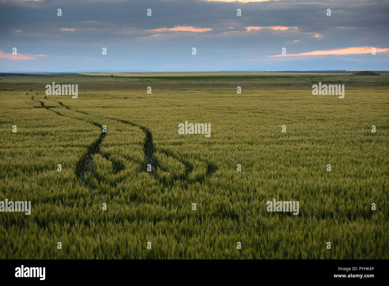 May landscape hi-res stock photography and images - Alamy