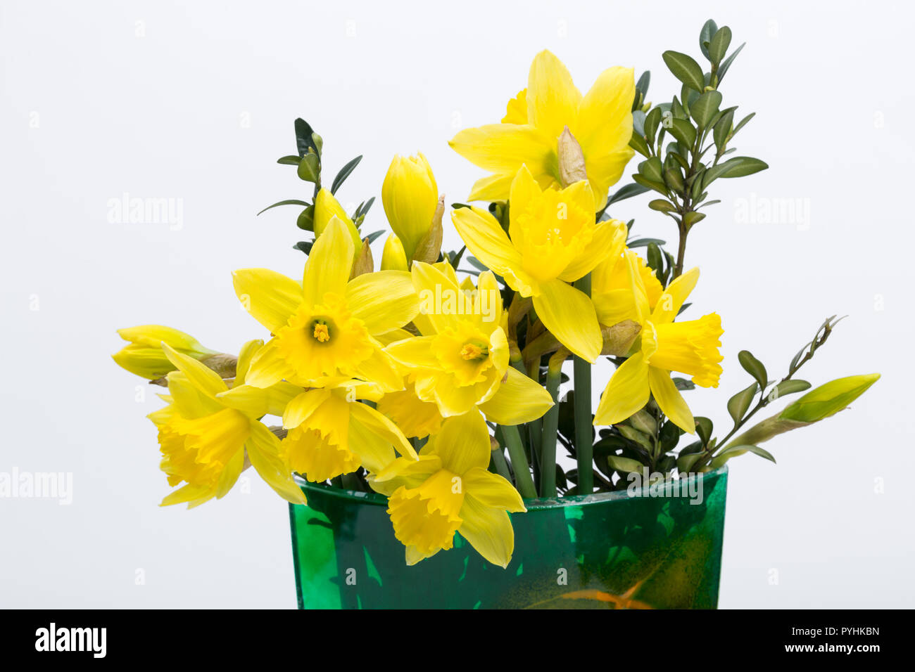 Yellow jonquil flowers isolated on white background Stock Photo - Alamy