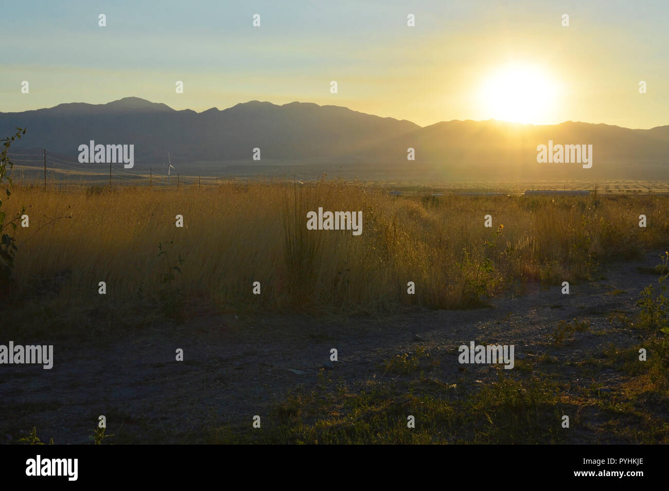 Grain mountain hi-res stock photography and images - Alamy