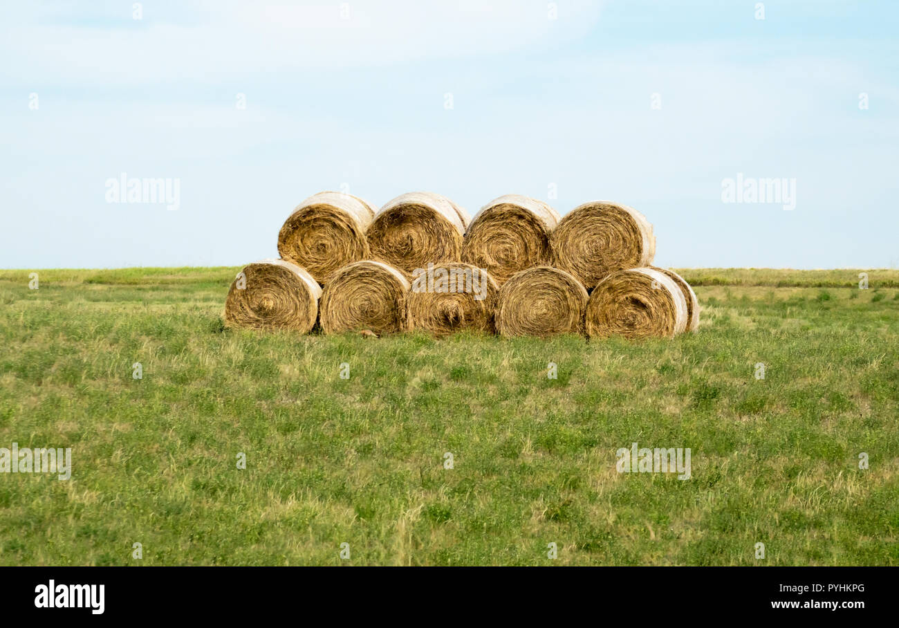 Bale label hi-res stock photography and images - Alamy