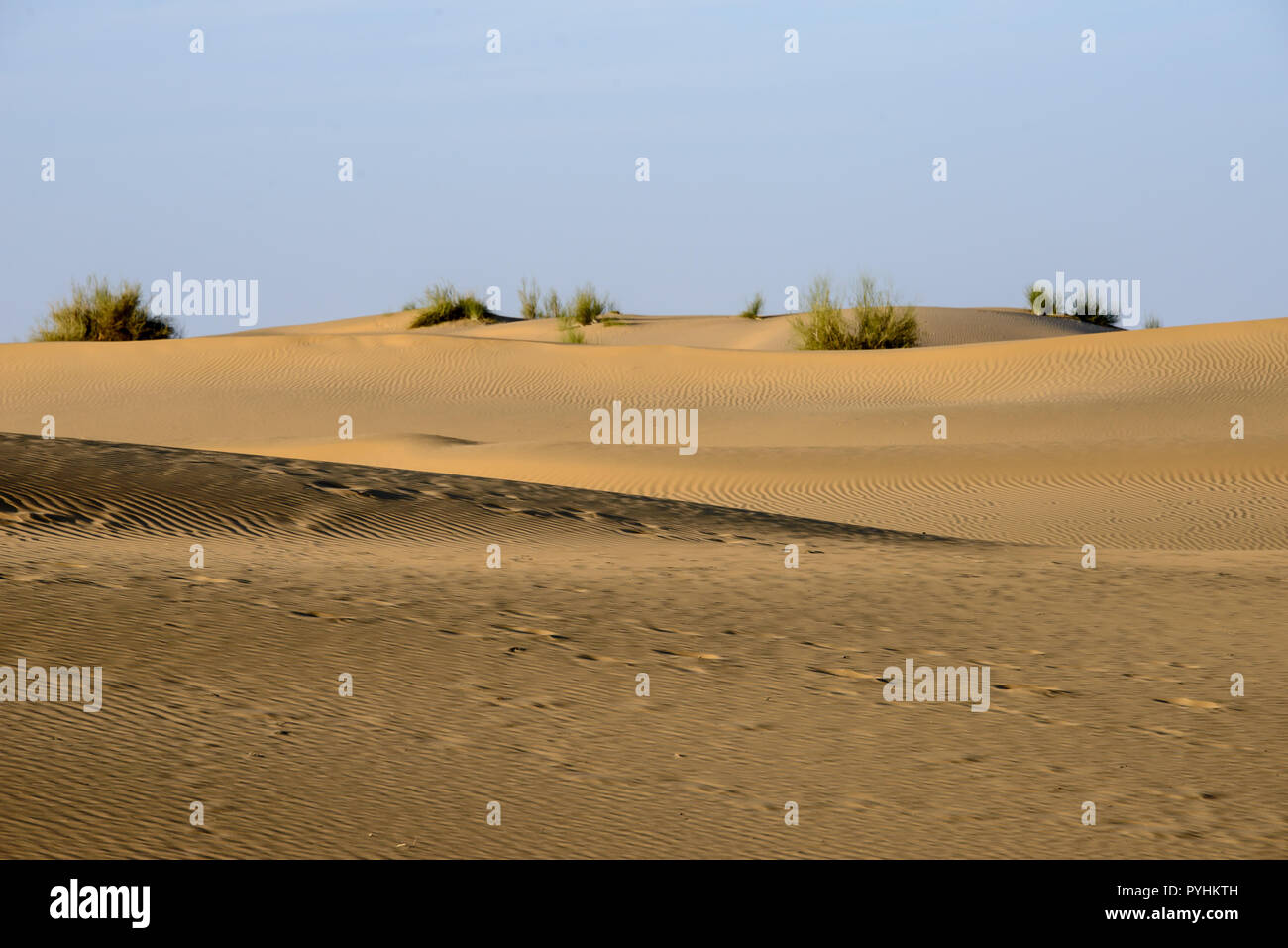 Thar desert landscape from Rajasthan, India Stock Photo - Alamy