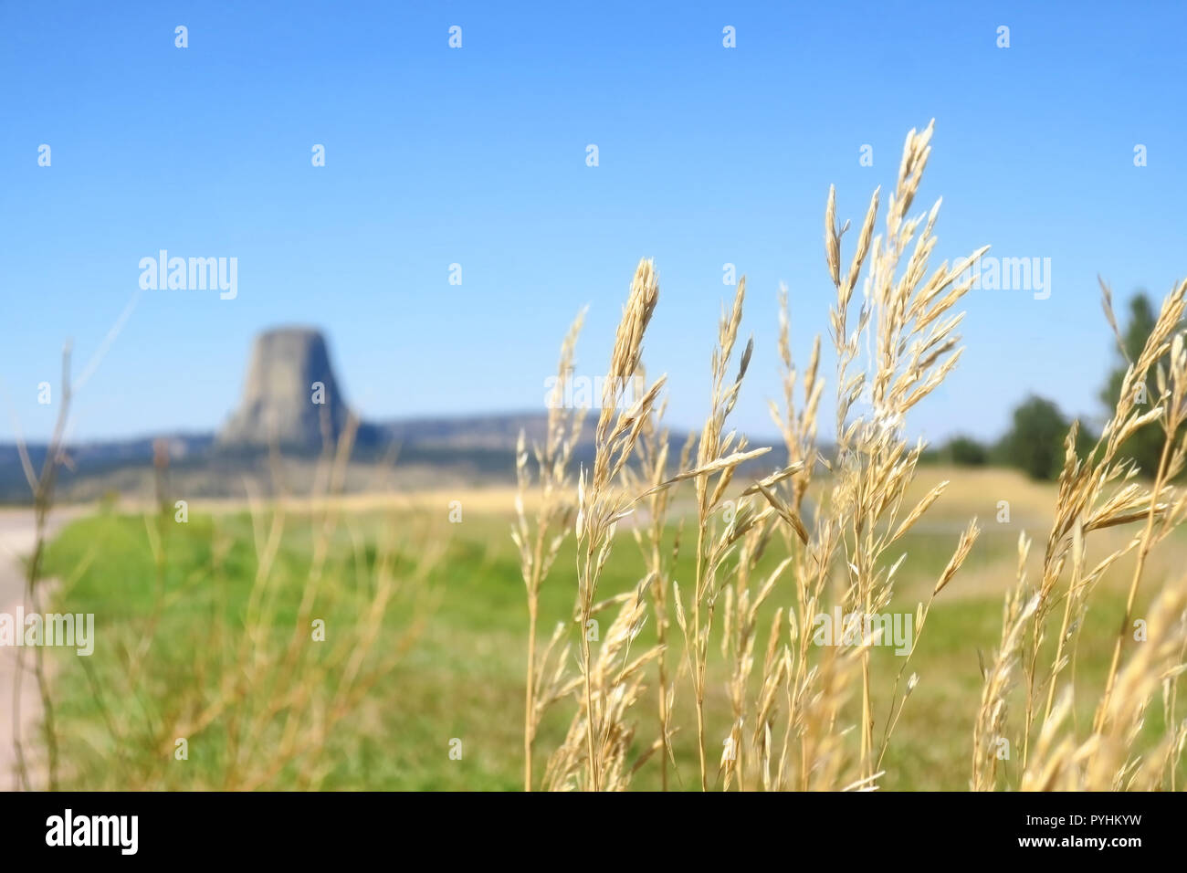 Climbing devils tower hi-res stock photography and images - Alamy