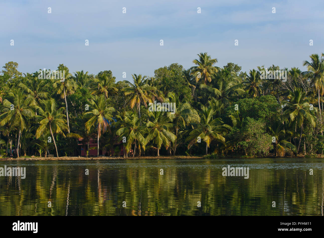 Kerala backwaters at Munroe island Stock Photo - Alamy