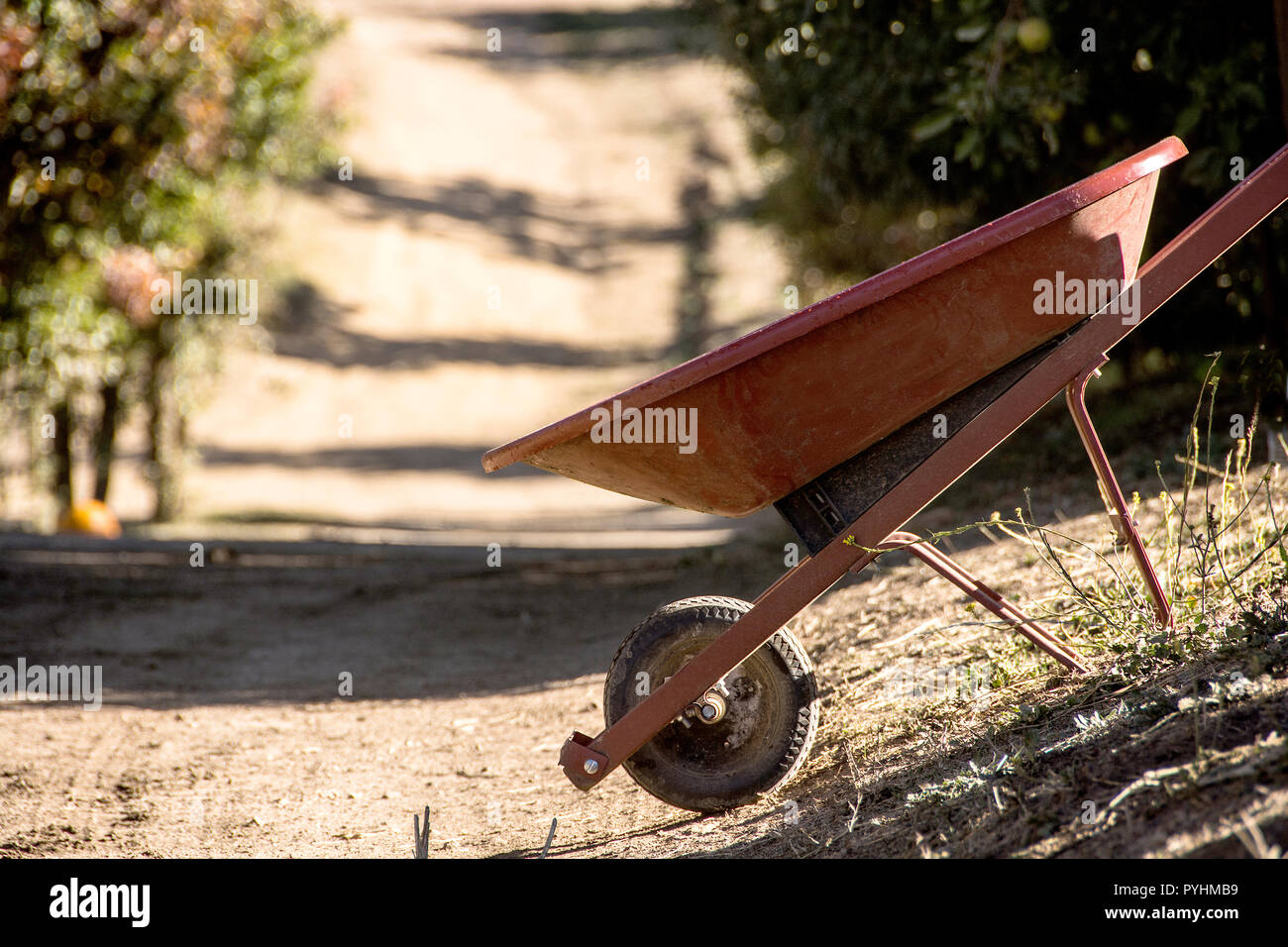 An empty wheel barrel facing a road; Oak Glen, California, U.S.A Stock ...