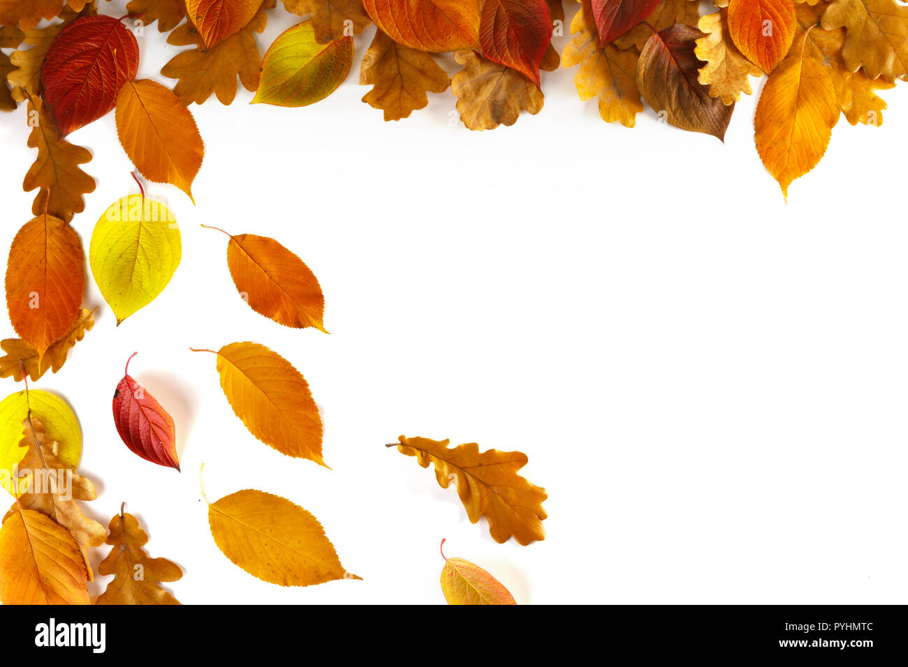 autumn leaves border frame isolated on white background Stock Photo - Alamy