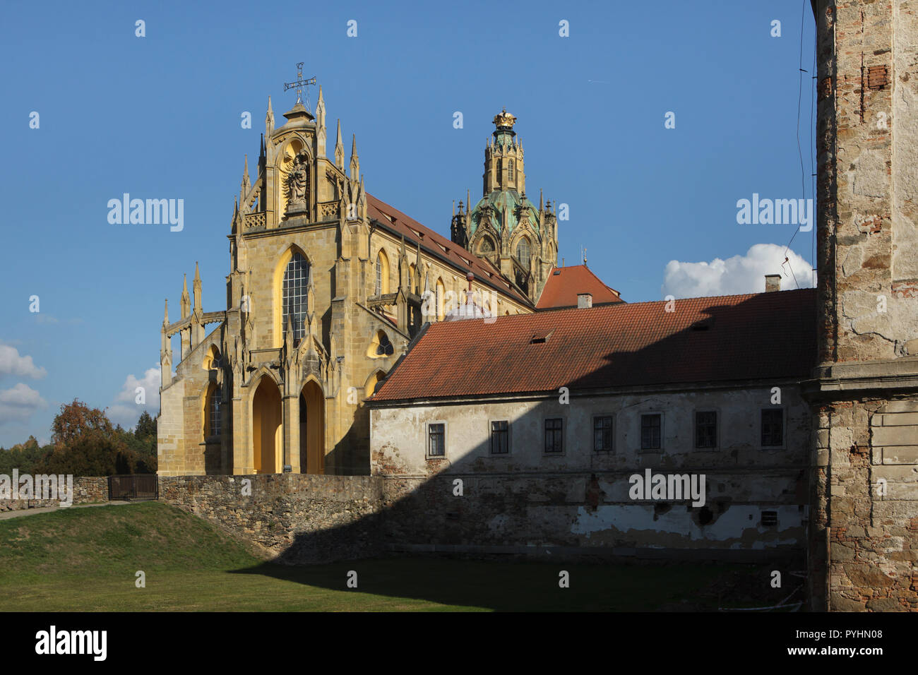 Kladrau kladruby hi-res stock photography and images - Alamy