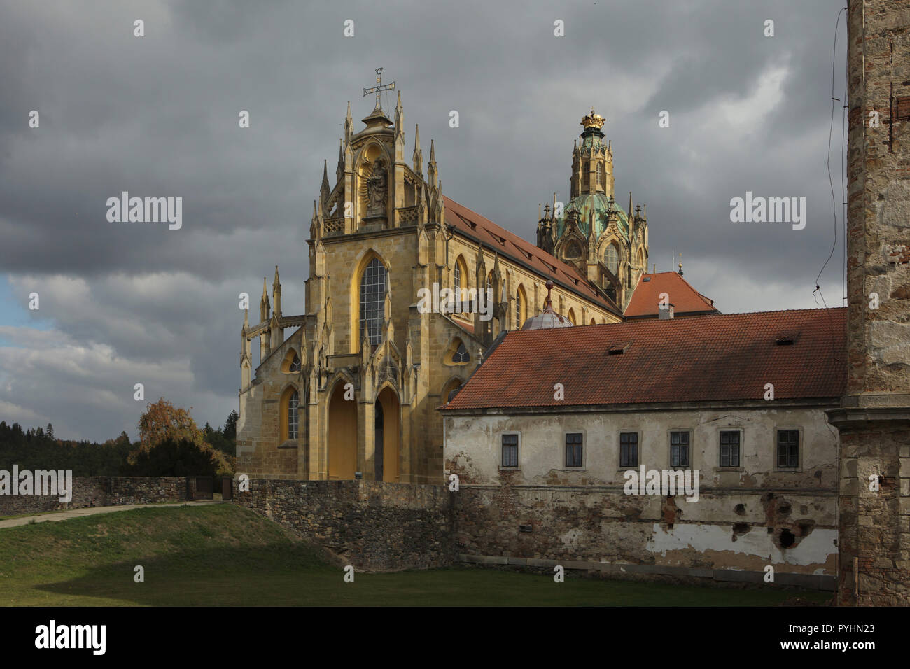 Kladruby u stribra kladrau hi-res stock photography and images - Alamy