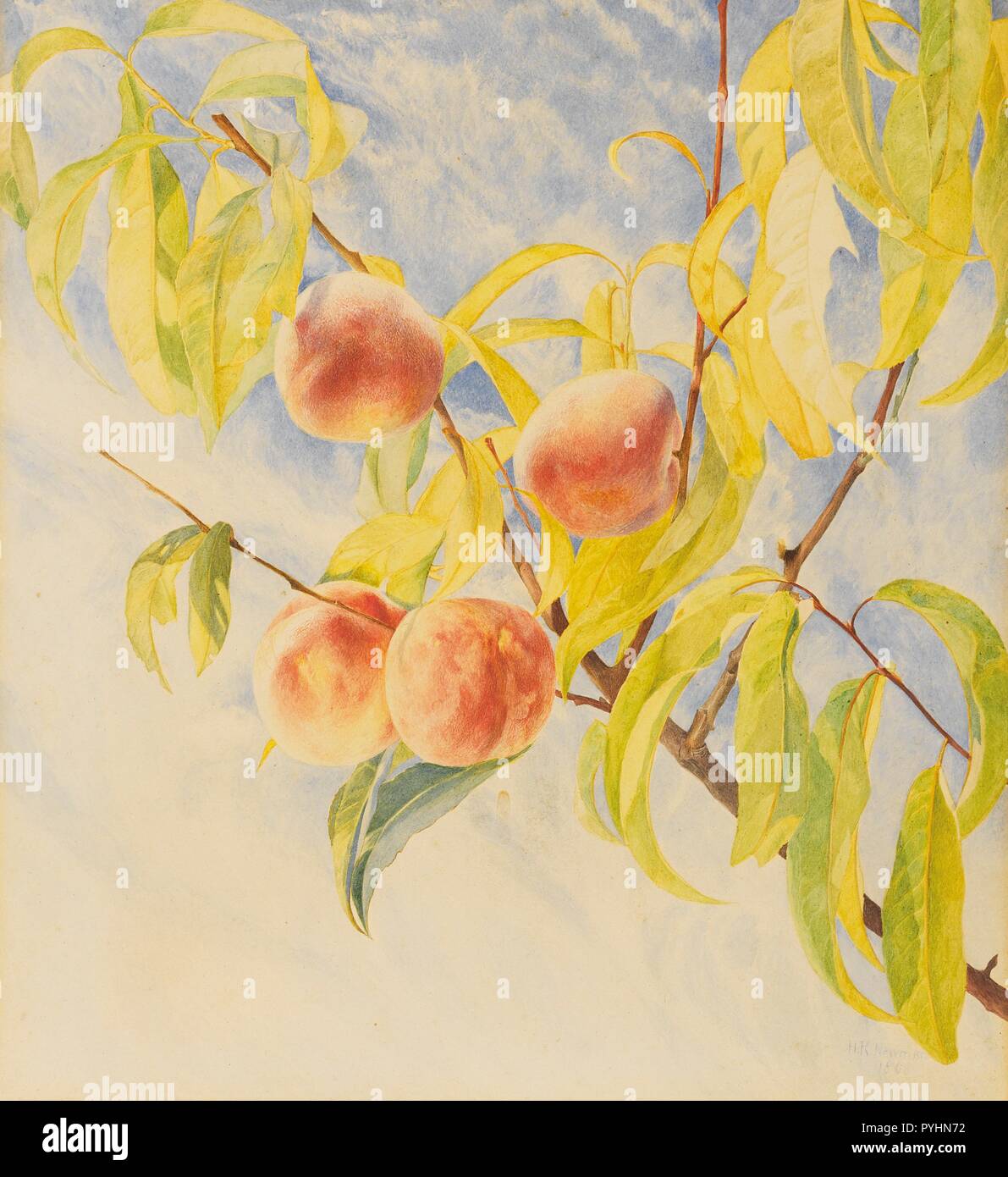 Henry Roderick High Resolution Stock Photography and Images - Alamy