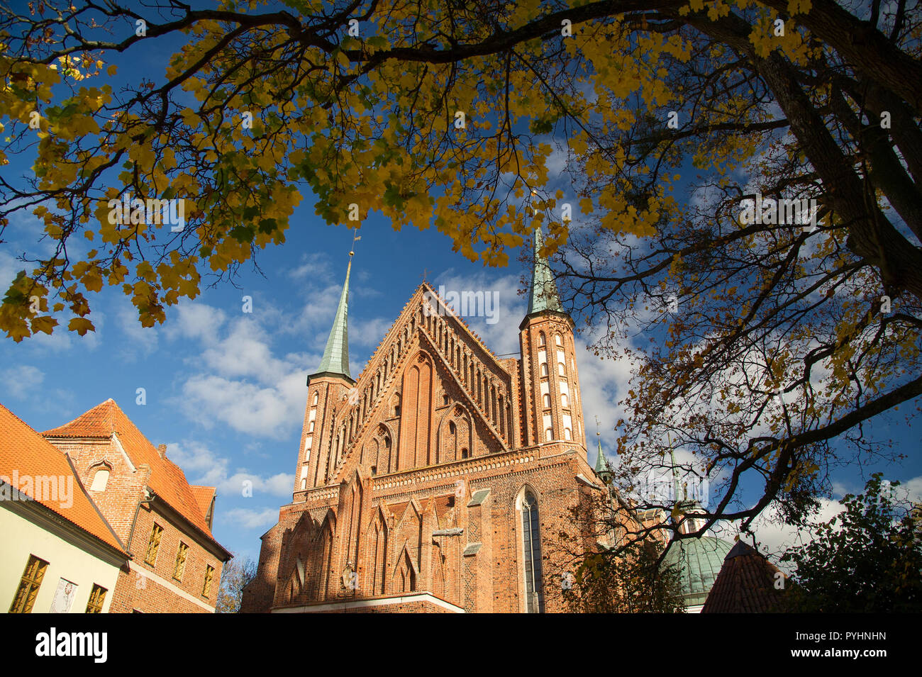 Gothic Archcathedral Basilica of the Assumption of the Blessed Virgin ...