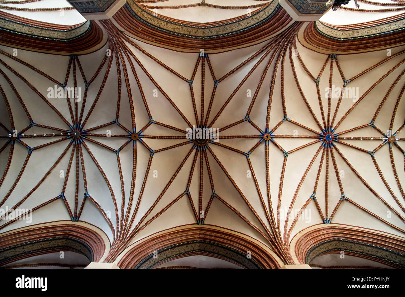 Gothic Archcathedral Basilica of the Assumption of the Blessed Virgin ...