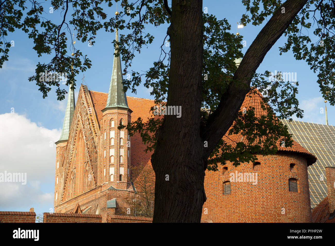Gothic Archcathedral Basilica of the Assumption of the Blessed Virgin ...