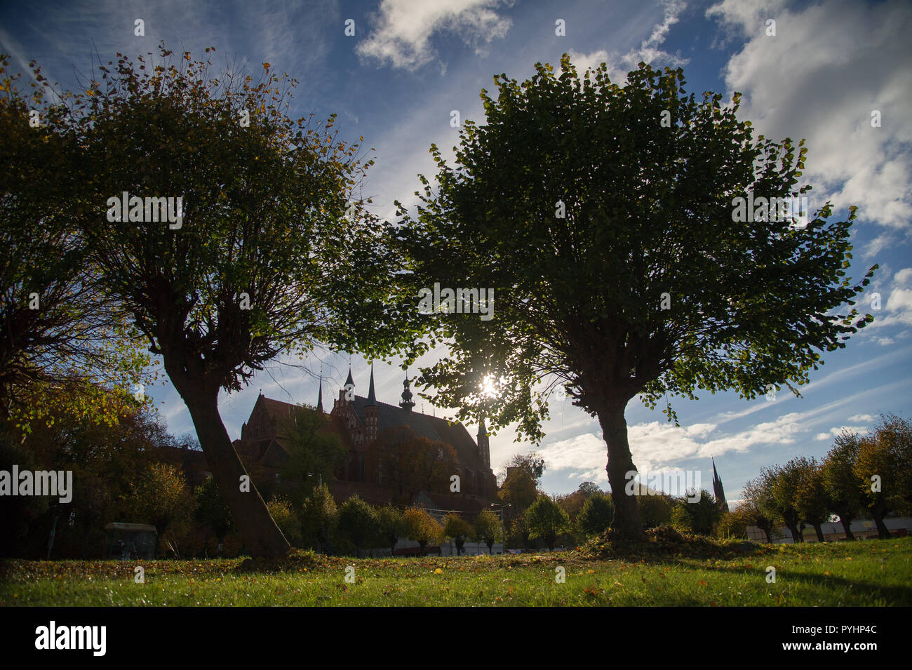 Gothic Archcathedral Basilica of the Assumption of the Blessed Virgin ...