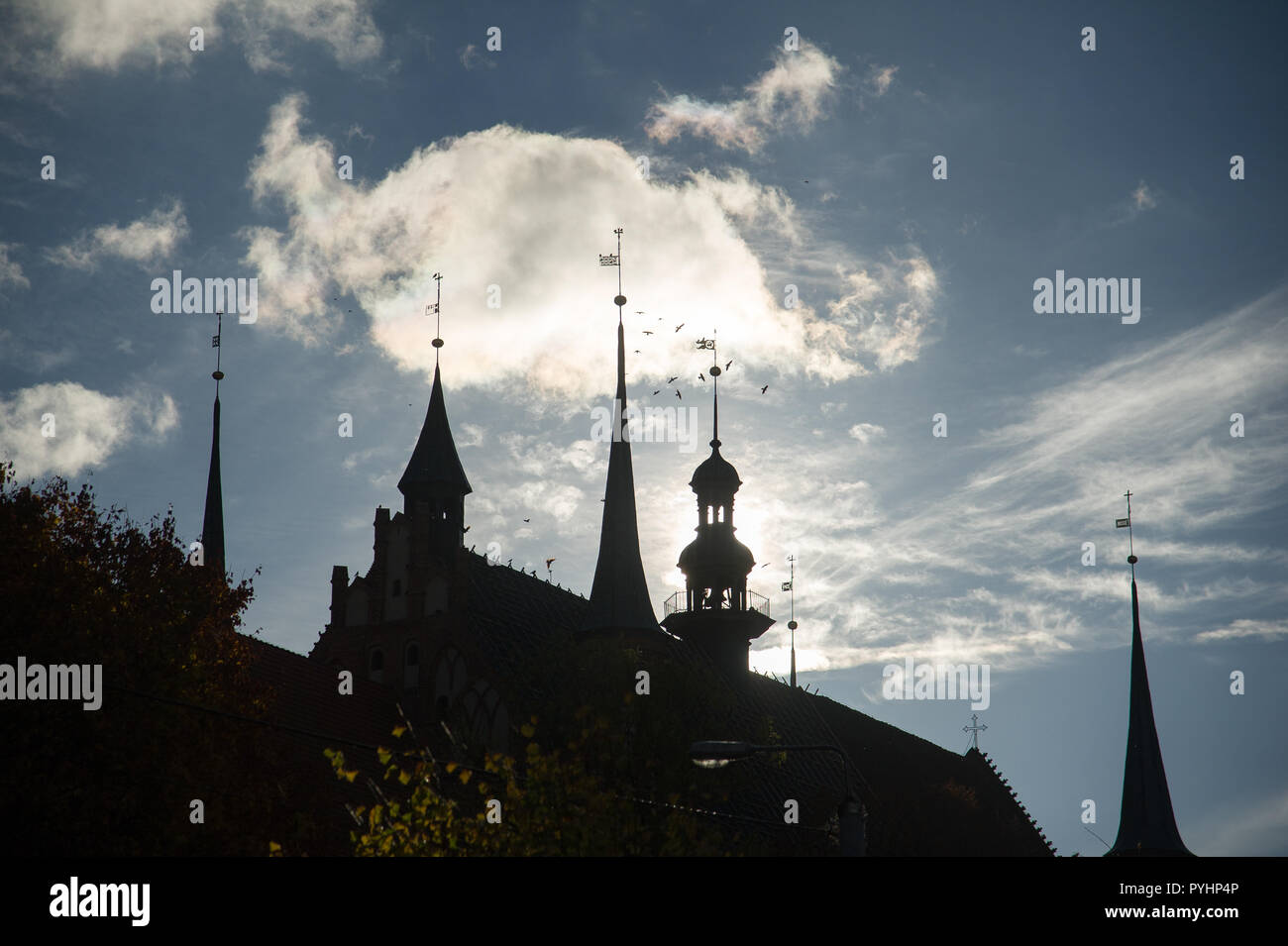 Gothic Archcathedral Basilica of the Assumption of the Blessed Virgin ...