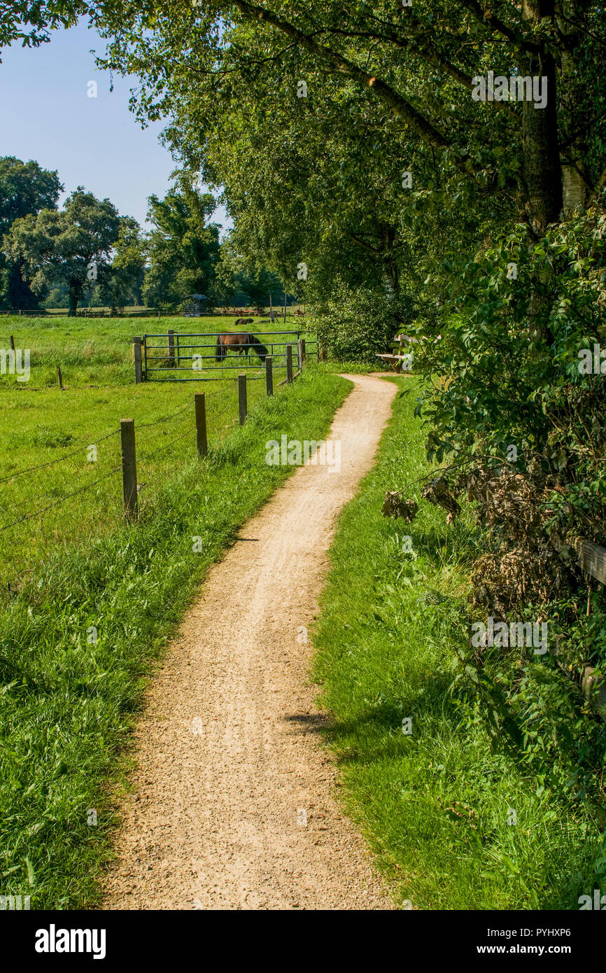 Luscious landscape hi-res stock photography and images - Alamy