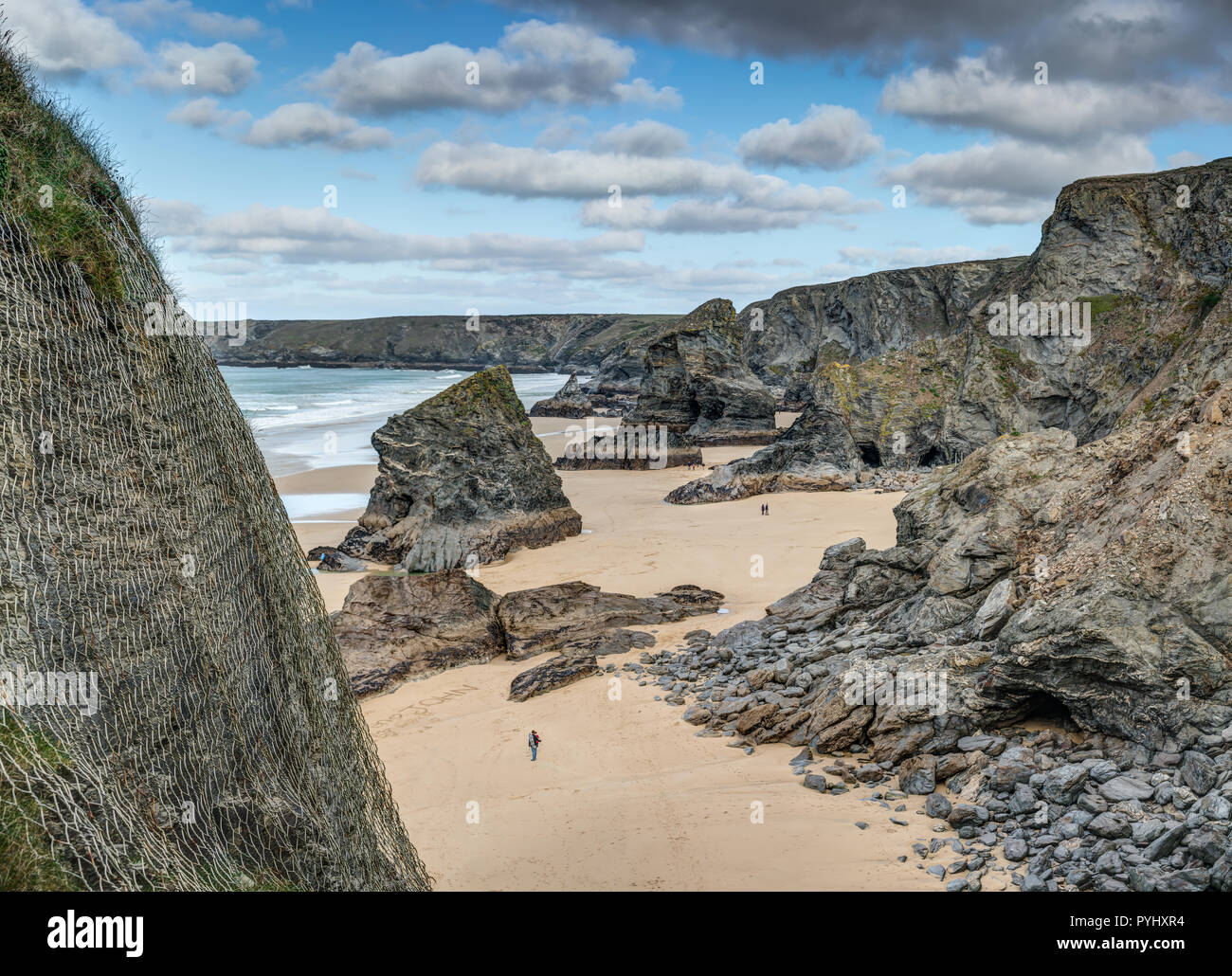 Cornish coast path wildlife hi-res stock photography and images - Alamy